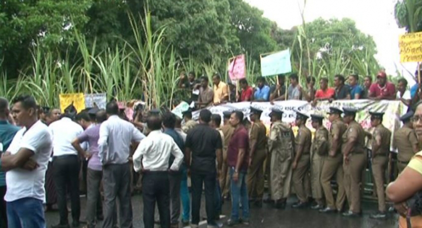 Employees of Sevanagala and Pelwatta Sugar factories protest opposite ...