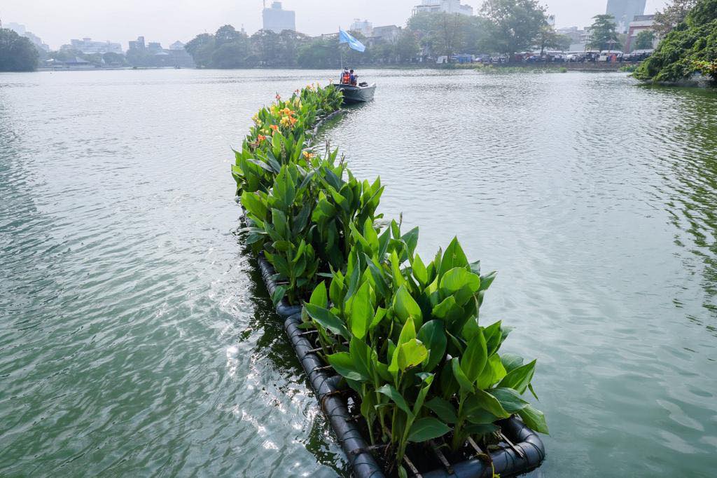 "Ecological floating islands" released to clean-up Beira Lake