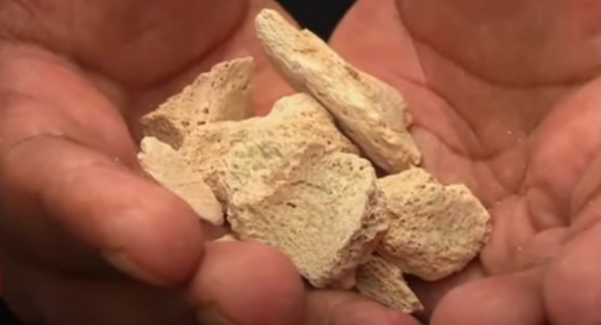 Prehistoric Rhinos in Sri Lanka's Lunugala