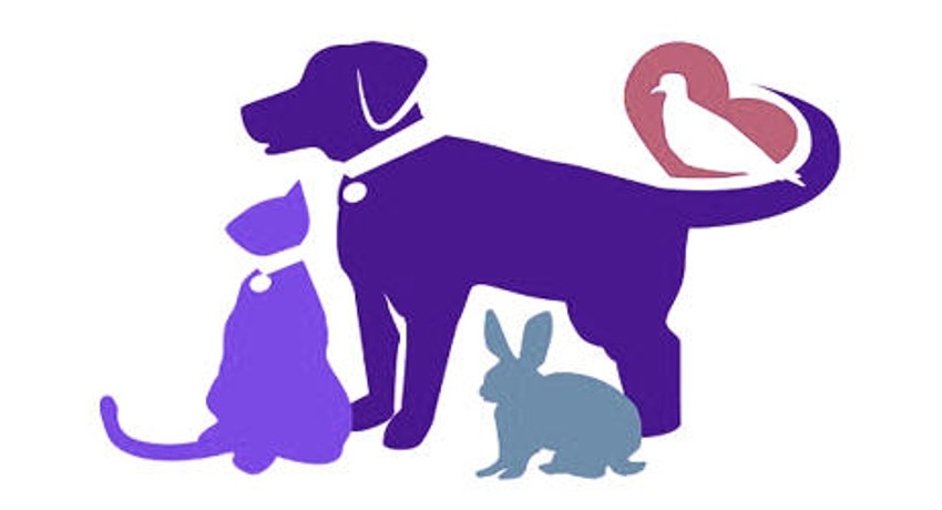 Cabinet Green light to Gazette Animal Welfare Bill