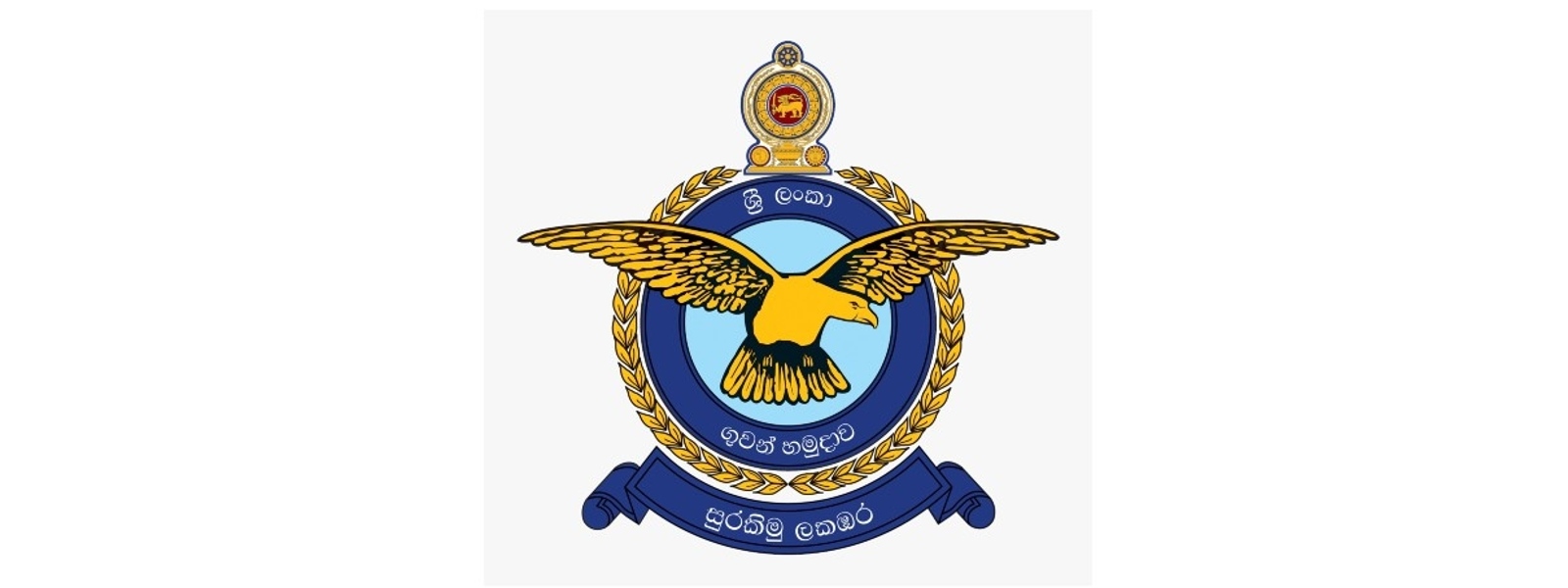 SLAF promotes indigenous medicine