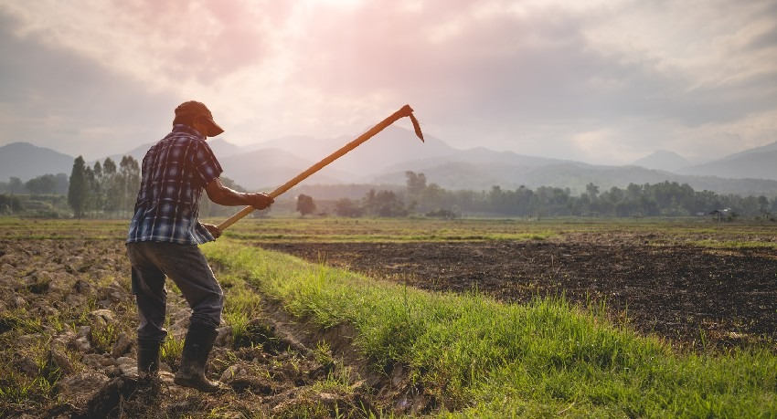 Rs. 20,000/- relief for Organic Farmers
