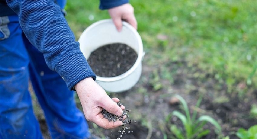 USD for Special, & specific fertilizer importers?