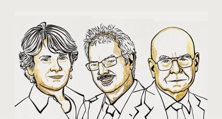Nobel prize goes to pioneers of molecule-building "click chemistry"