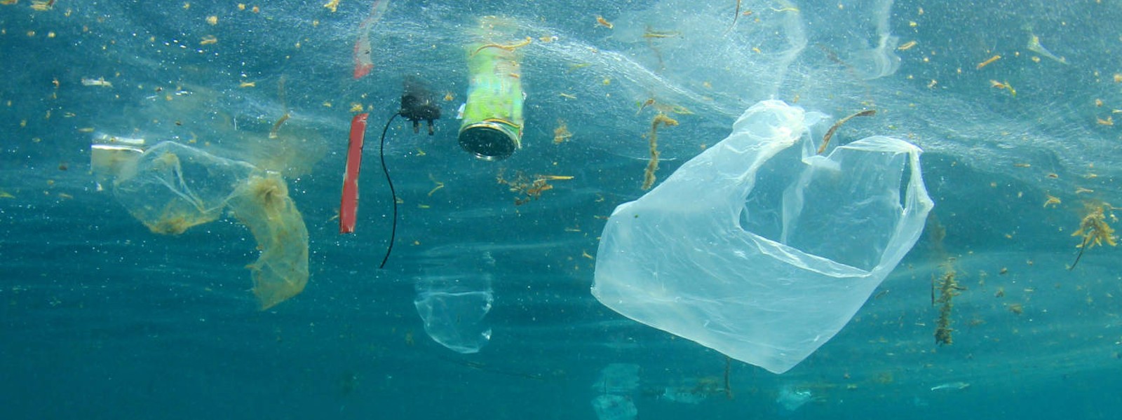 USAID launches 5-Year Ocean Plastics Reduction Project for Sri Lanka