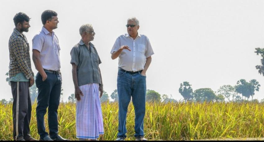 President tells officials to buy 1kg of paddy for Rs.100/-