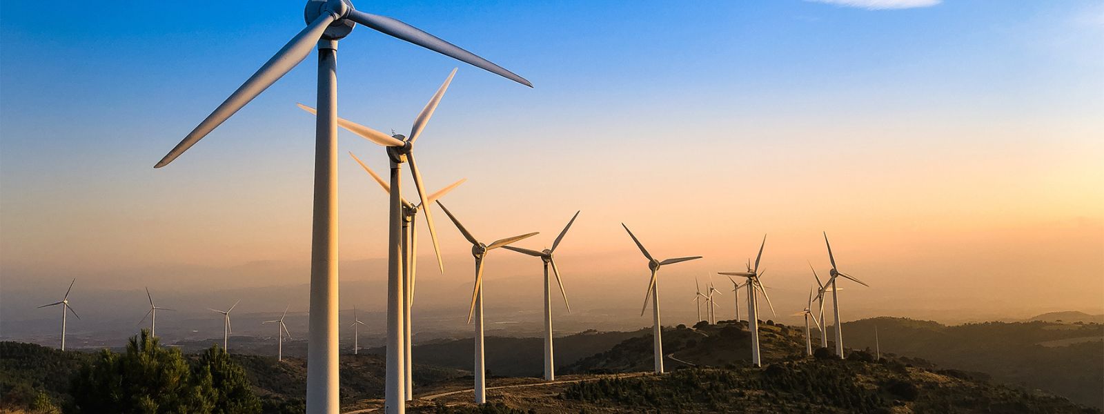 Wind Power Plant to Be Built in Sampur with Indian Aid