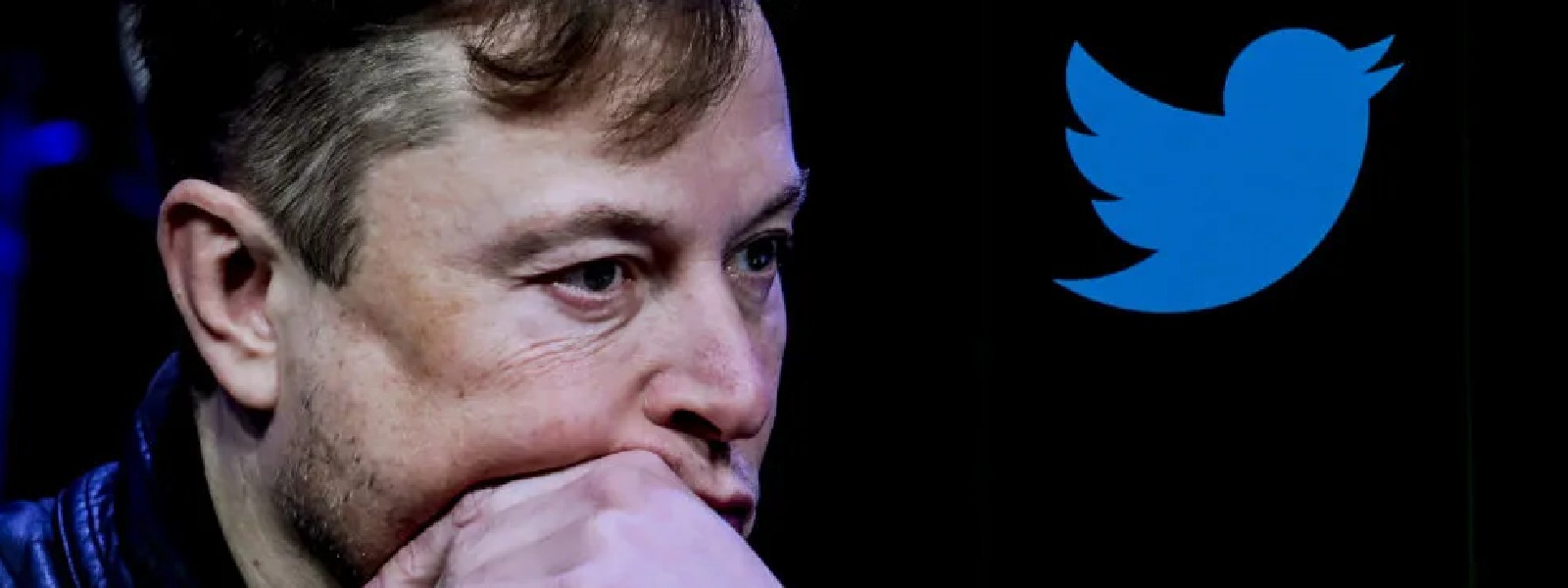 Elon Musk puts Twitter's value at just US$20 billion