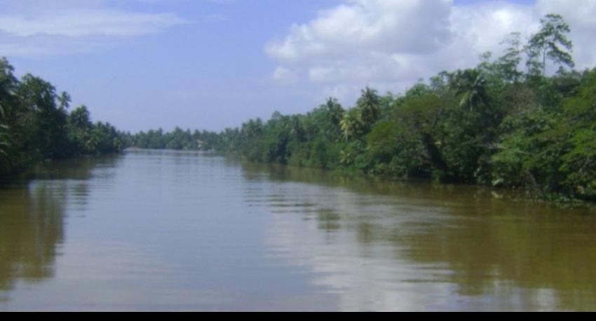 Gin and Nilwala Rivers at flood level