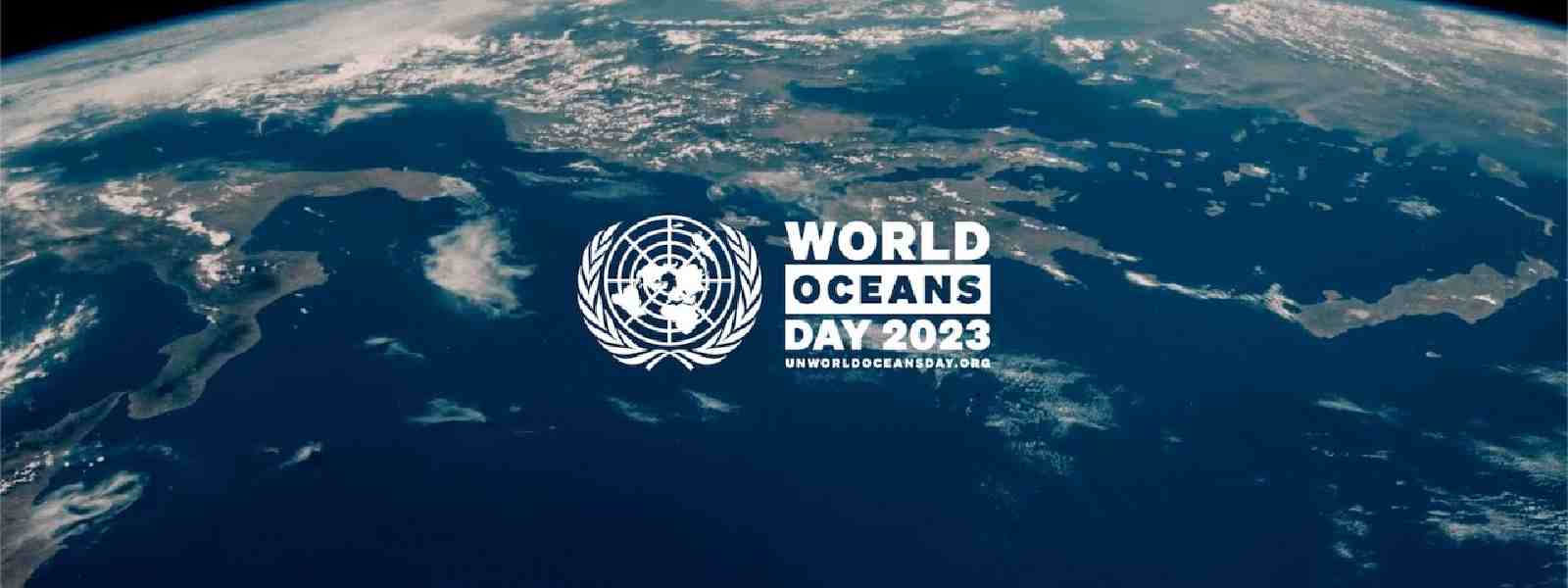 World Ocean Day: 8.8 million tons of plastic ends up in the world ...