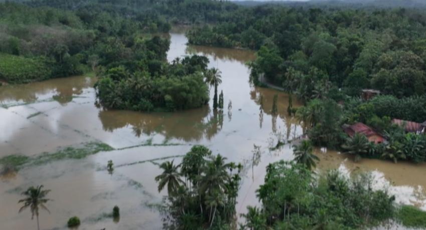 Removal of salinity barrier on Nilwala River commences