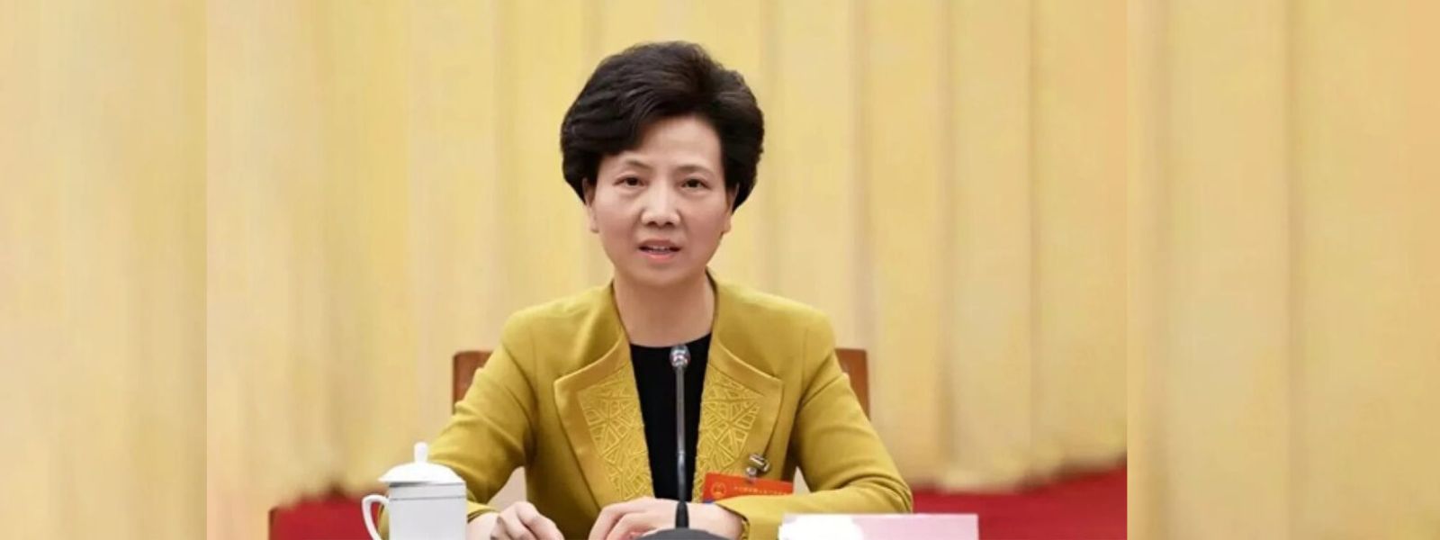 Chinese State Councilor Shen Yiqin arrives in Sri Lanka