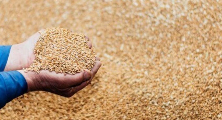 Paddy Procurement Loans for Private Mill Owners