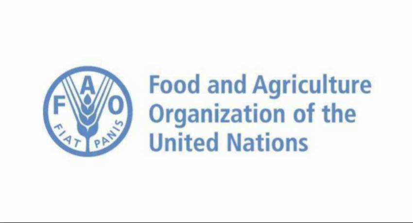 FAO's Good Agricultural Practices (GAP) Initiative Boosts Modernization