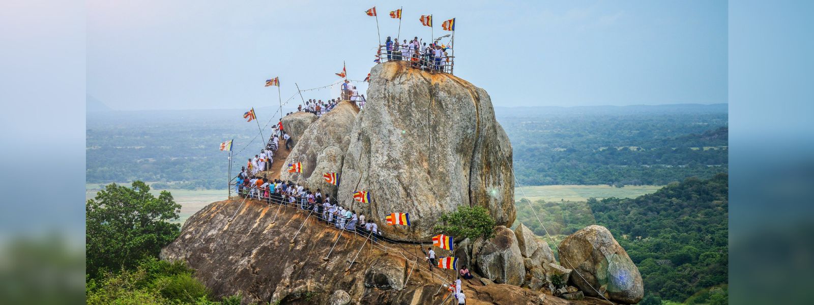 National Poson week commences today