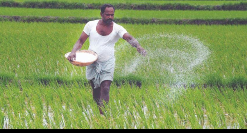 Special Discussion Today on Paddy and Rice Stocks Report
