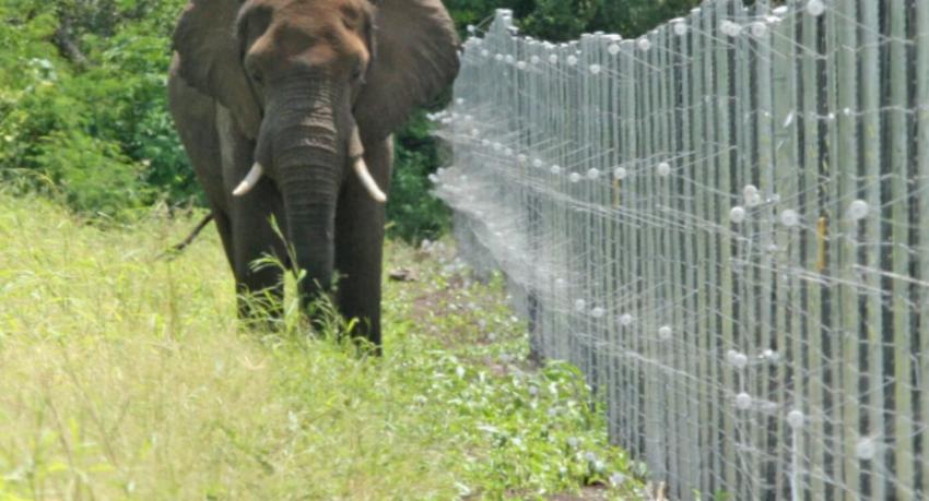 National Engineering Research and Development Centre Develops New ...