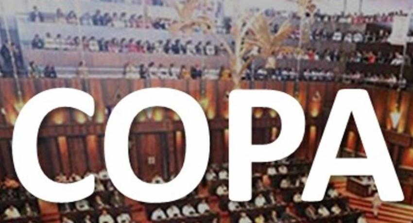 COPA Gets New Chairman