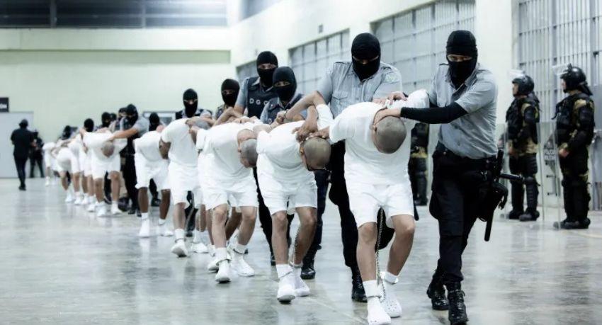 MS-13 Leaders Among 250 Deported As Trump Uses Wartime Powers to Expel ...