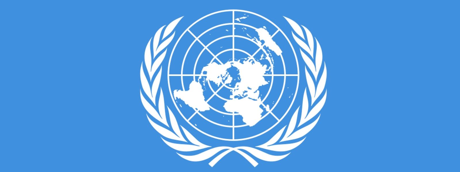 UN Reports Are Not Widely Read, Says UN Report