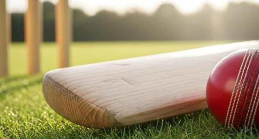 Player Dies After Collision in Friendly Cricket Match