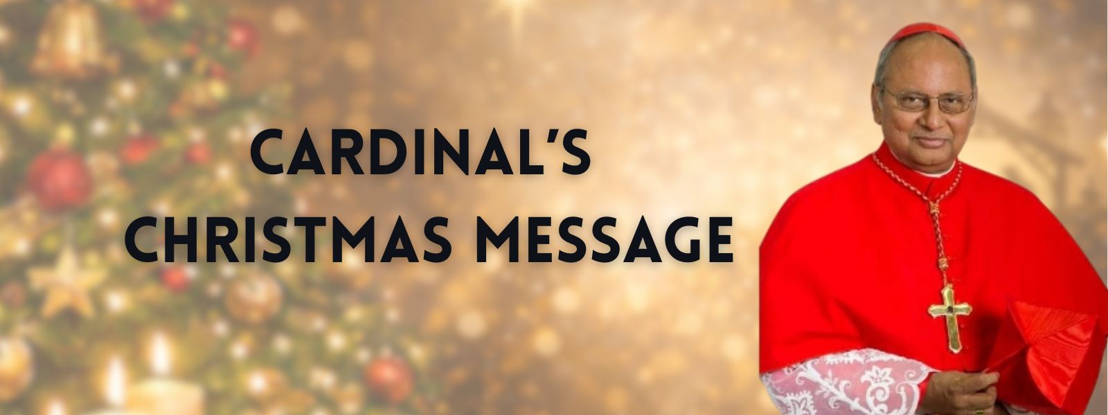 Cardinal Malcolm Ranjith Warns Greed And Power Enslave Humanity, Calls ...