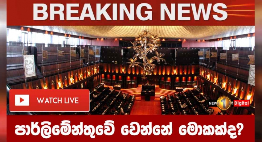 Latest News - Sri Lanka News - Newsfirst | Breaking News and Latest ...