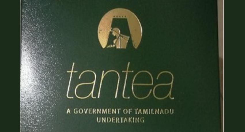 வாழ்வாதார அச்சுறுத்தலை எதிர்நோக்கியுள்ள இந்திய வம்சாவளி இலங்கை தொழிலாளர்கள்